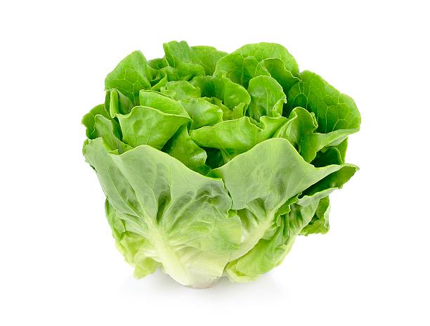 Lechuga organica
